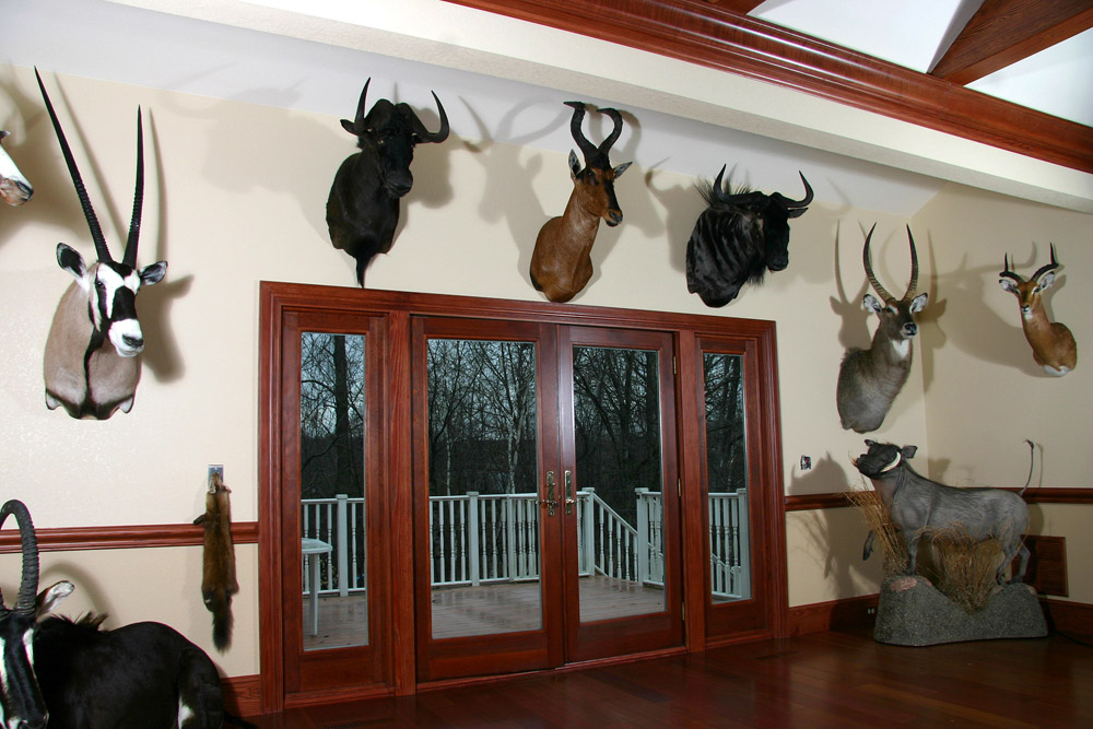 Trophy Room Services at Northeast Taxidermy Studios